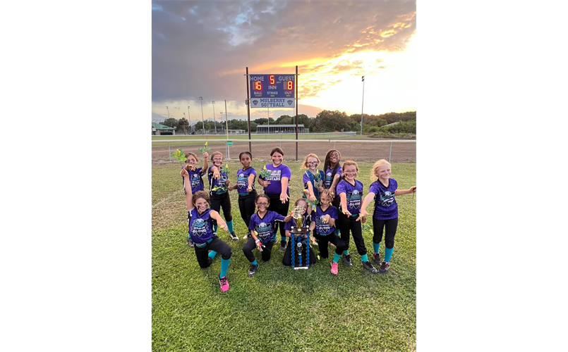 Lakeland Girls Softball League > Home